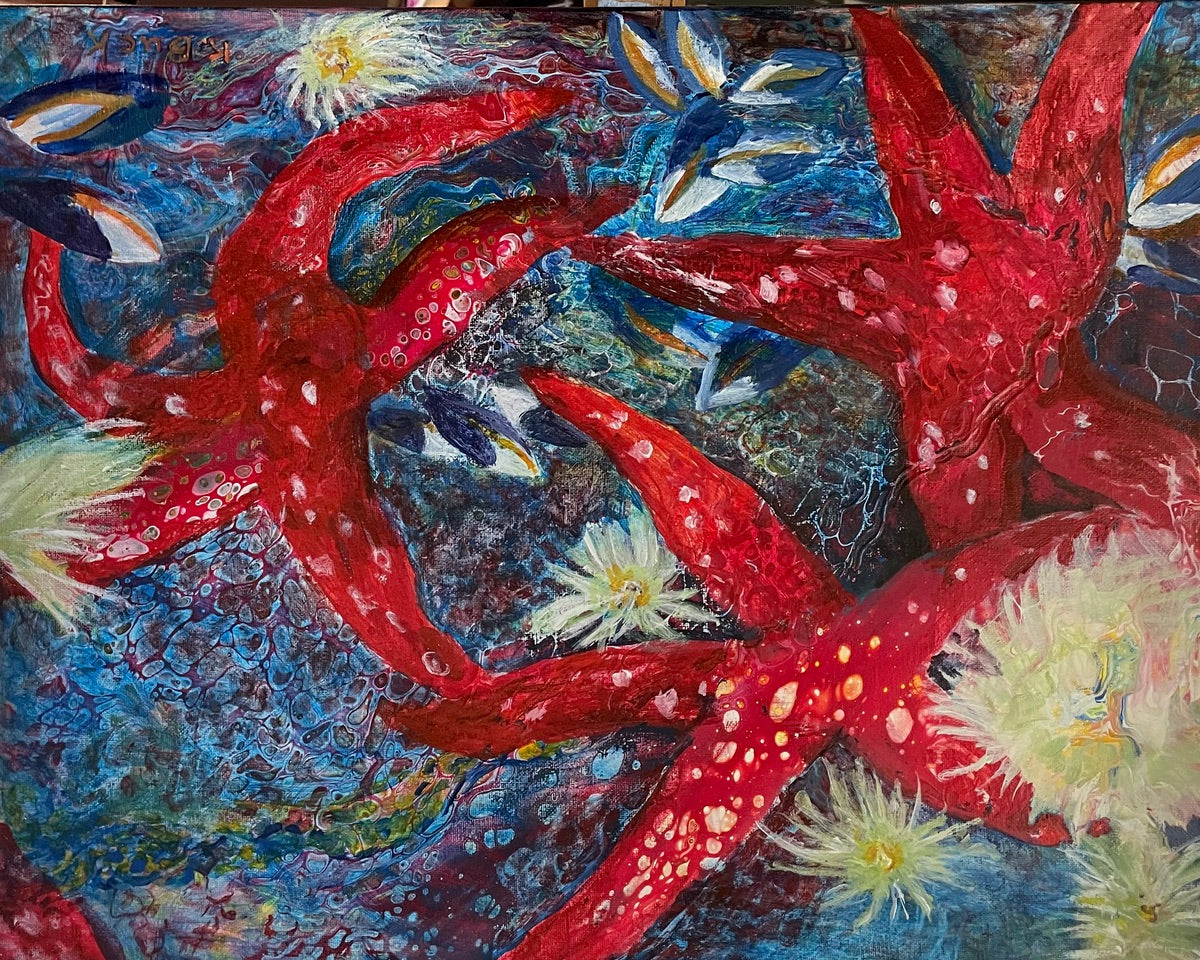 Galaxy of Starfish – Currents Gallery