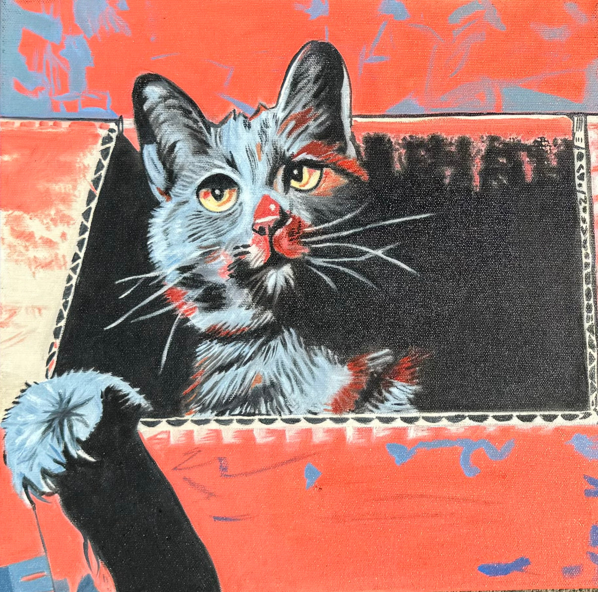 The Box Cat – Currents Gallery